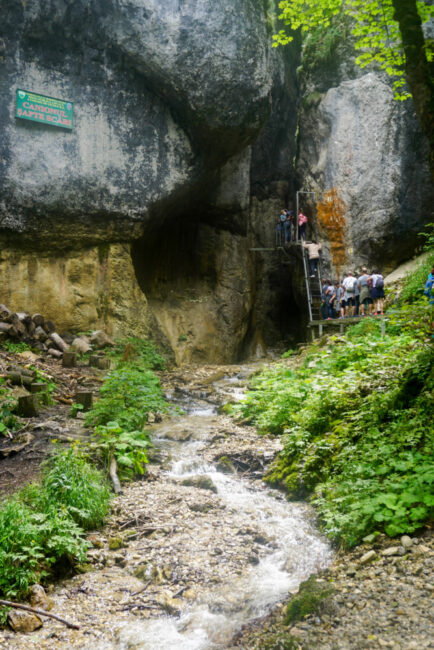 Totul despre Canionul 7 Scari: traseu si tiroliana - TravelHolyc – Blog ...