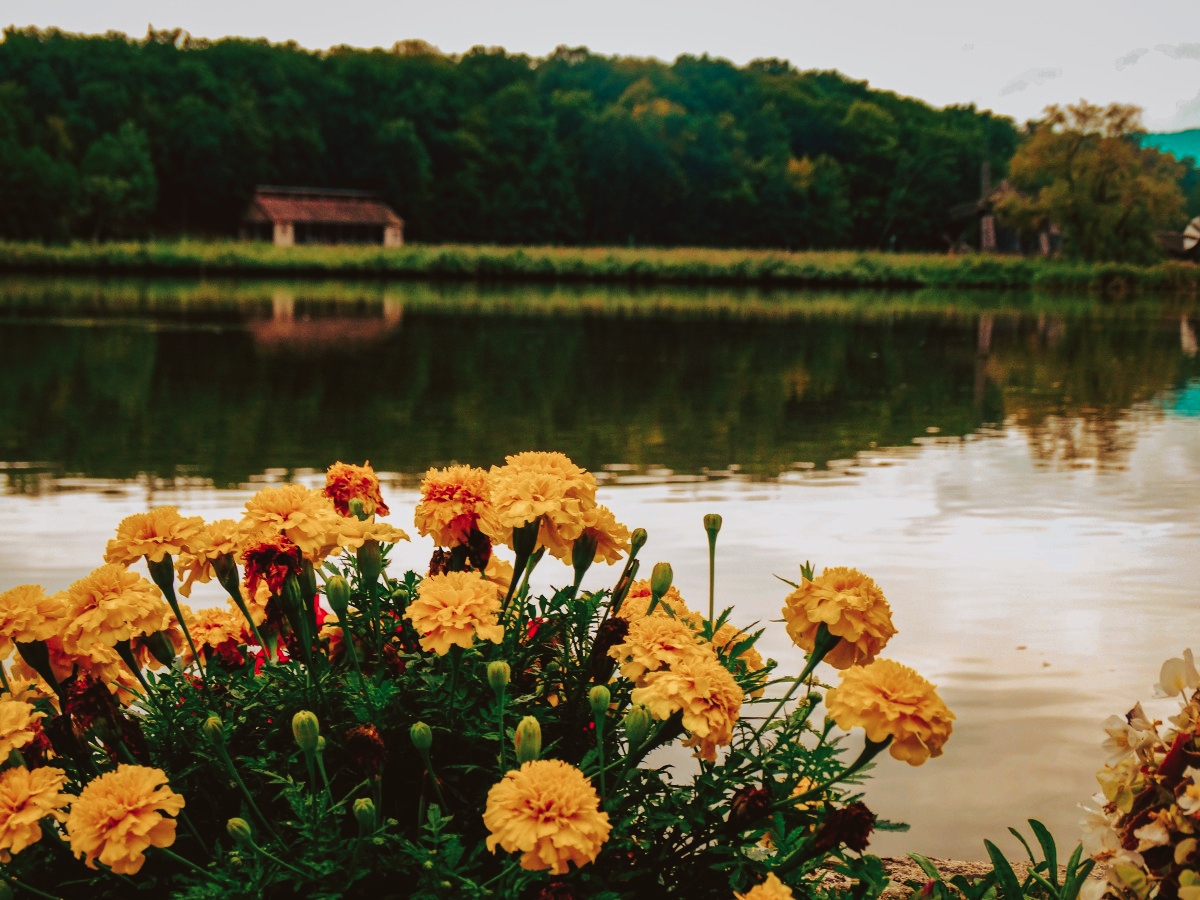 10 motive sa vizitezi Muzeul ASTRA, Sibiu - TravelHolyc – Blog de călătorii