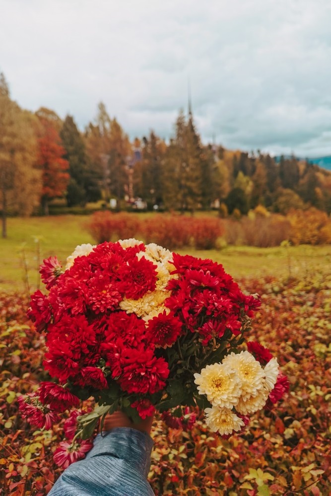 Ganduri inspirate de toamna #HelloNovember - TravelHolyc – Blog de ...