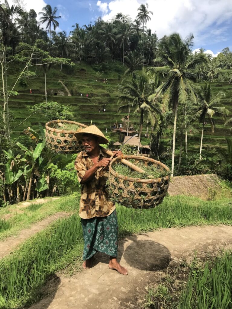 12 lucruri pe care trebuie sa le stii inainte de a calatori in Bali ...