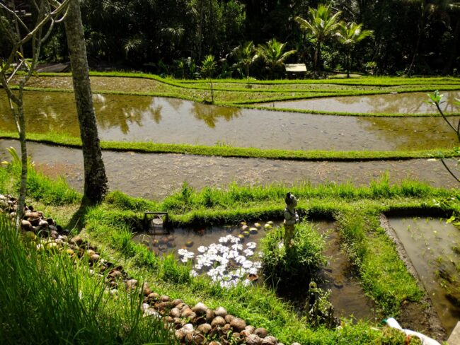 4 temple superbe pe care sa le vizitezi in Bali - Blog de călătorii