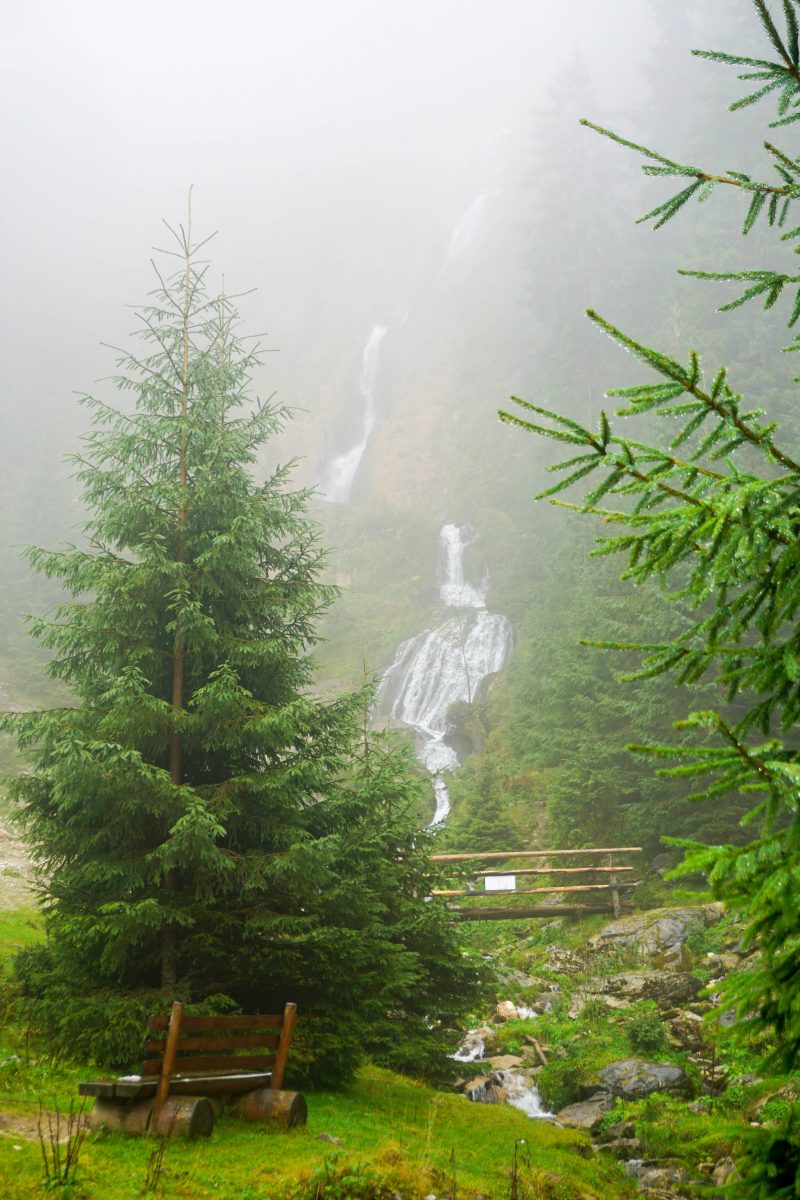 Cum ajungi la cea mai înaltă cascadă din România? Traseu la Cascada ...