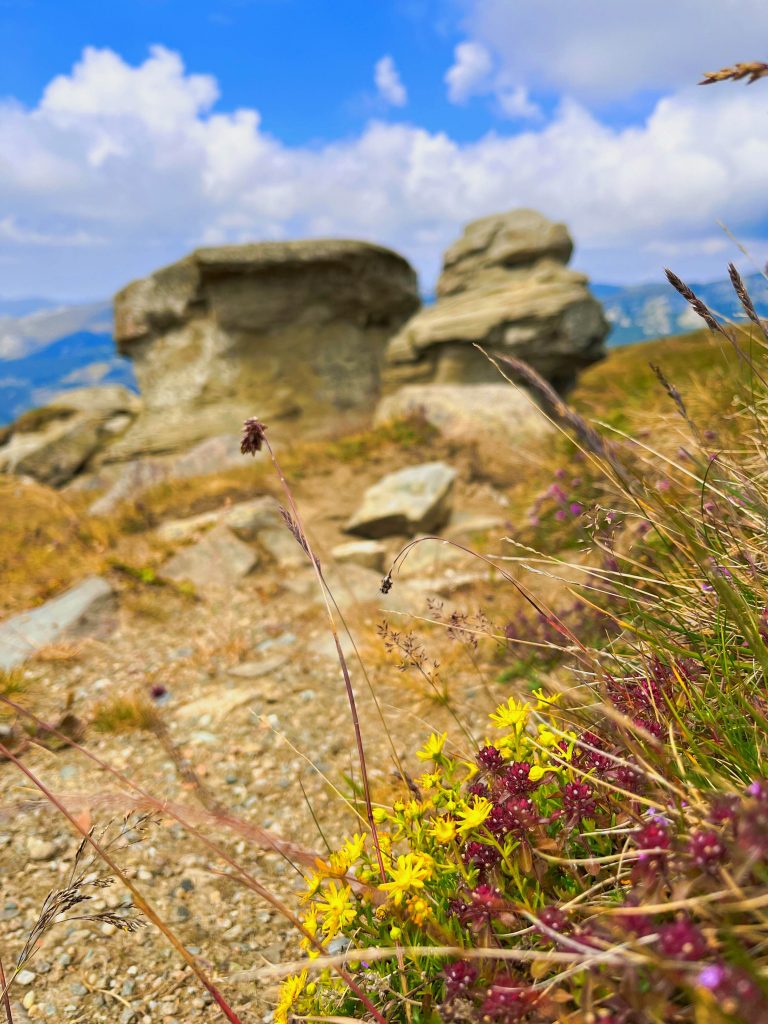Cum am ajuns la Crucea Eroilor Neamului de pe Muntele Caraiman (traseul ...